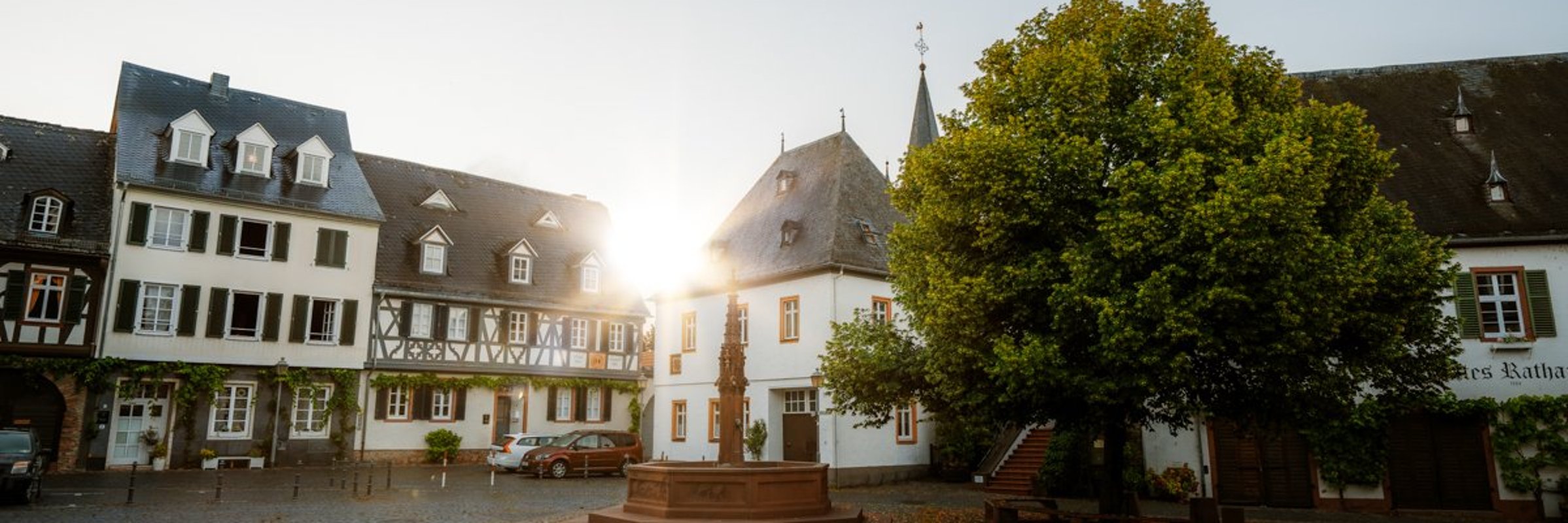 Aktuelles | Oestrich Winkel