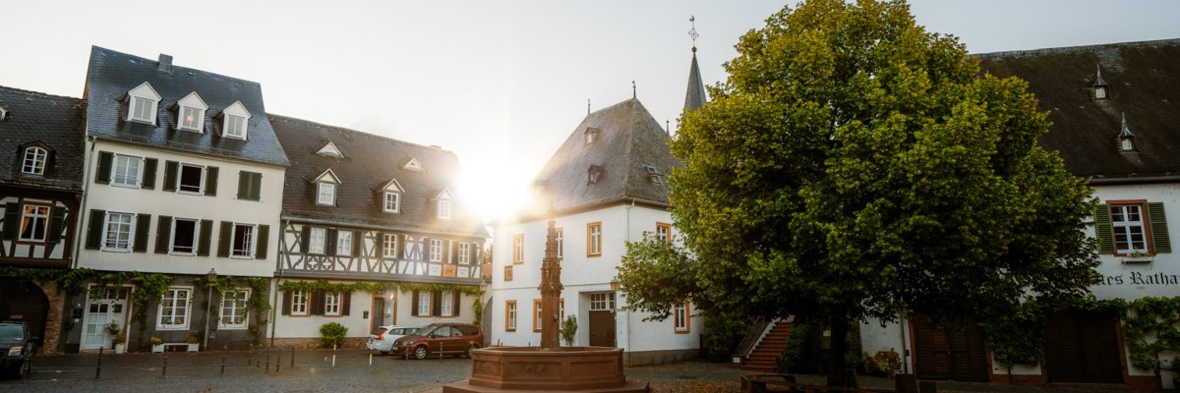 Aktuelles | Oestrich Winkel
